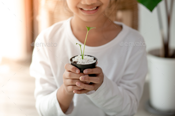 children hand holding small tree for planting. concept green world ...