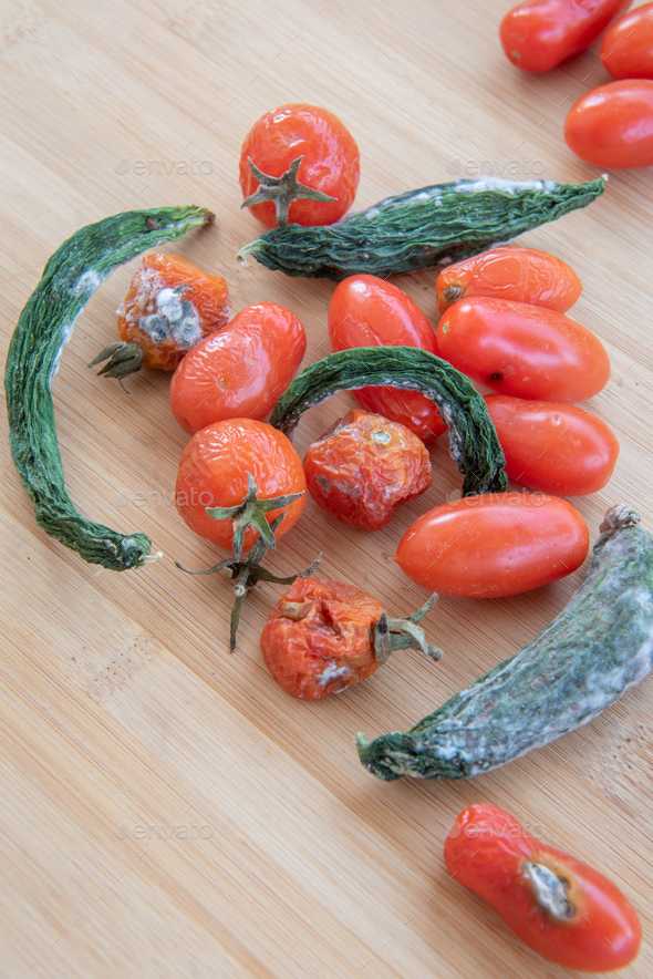 Mouldy and wrinkled rotten tomatoes and cucumbers. Unhealthy food Stock ...