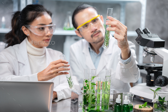 medicine biology laboratory of organic plant experiment test in glasses ...