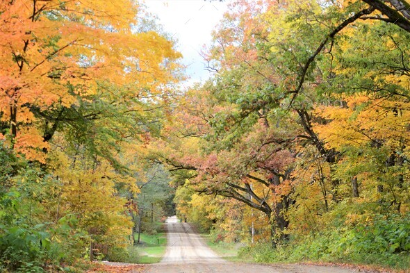 Country dirt road in the Fall season colorful foliage Stock Photo by ...