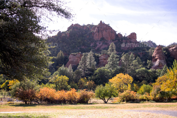 Fall Colors in Sedona, Arizona Stock Photo by langalvezjen | PhotoDune