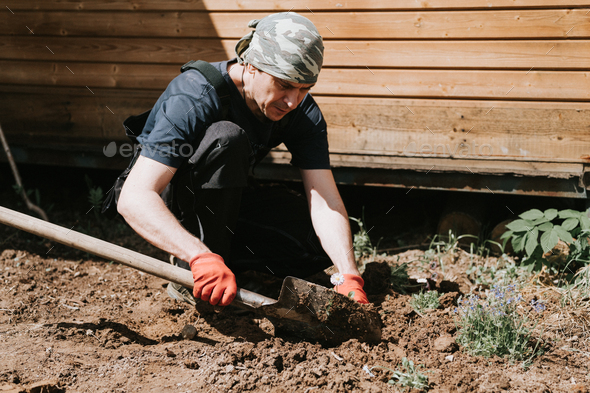 man gardener and farmer male hands plants daisy wildflowers suburban ...
