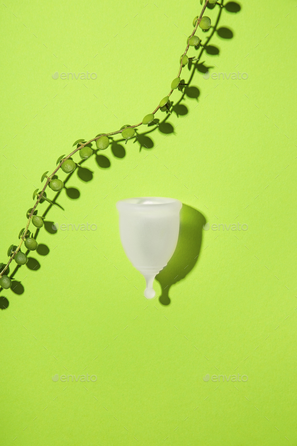 Menstrual cup and green leaves. Sustainable period, zero waste. Stock Photo by svitlini
