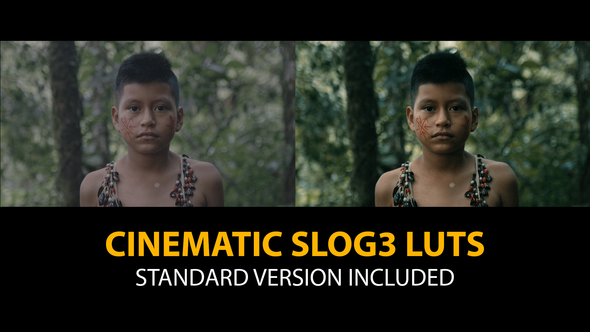 Slog3 Cinematic LUTs, DaVinci Resolve Templates | VideoHive