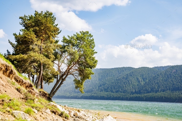 Deciduous trees grow on ledge above lake against backdrop of mountain ...