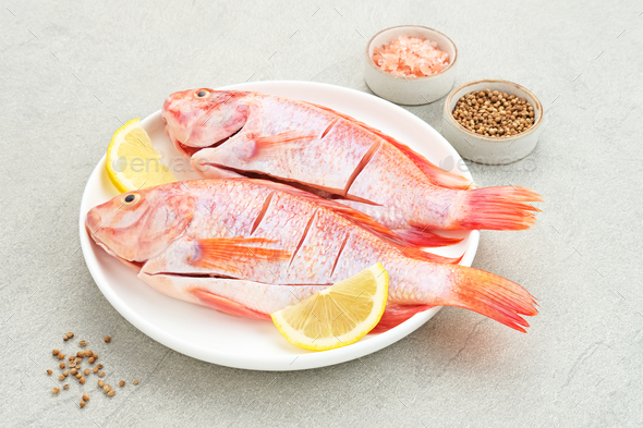 Ikan Nila Merah (Raw red tilapia fish) Stock Photo by tyasindayanti