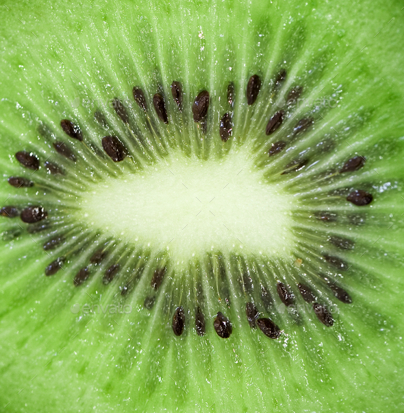 photo of a kiwi Stock Photo by ozaiachin | PhotoDune