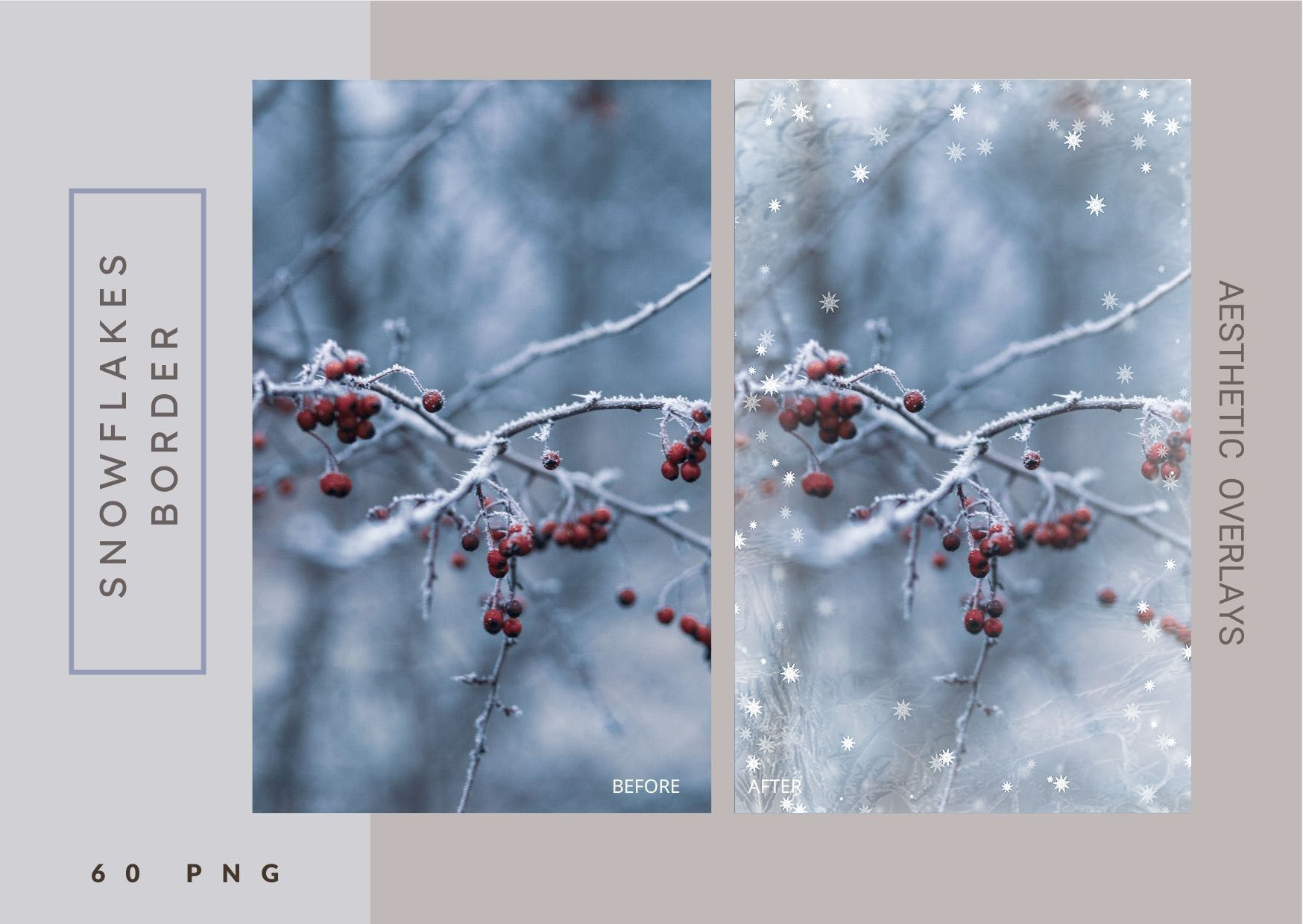 Snowflakes Border Overlays, Add-ons | GraphicRiver