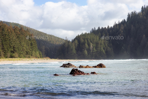 Sandy beach on Pacific Ocean Coast View. Sunny Blue Sky. San Josef Bay ...