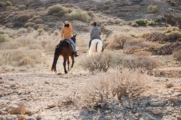 Young people riding horses doing excursion at sunset - Focus on woman ...