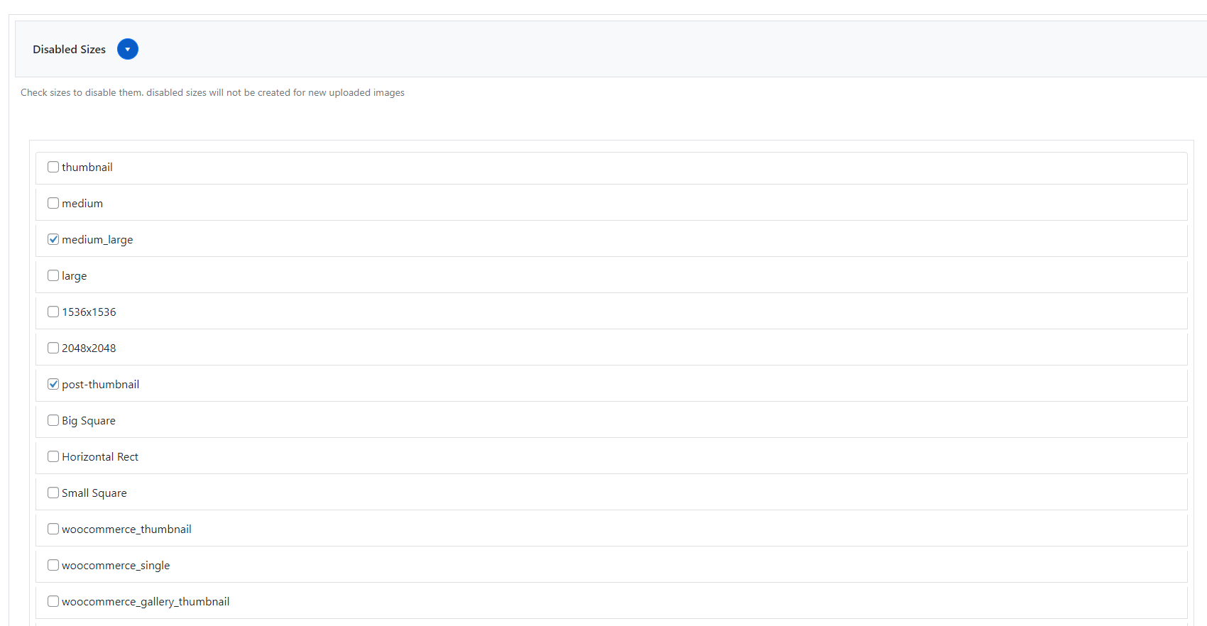 Image Sizes Controller by GrandPlugins | CodeCanyon