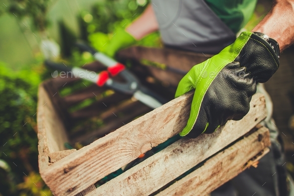 Gardener with Wooden Crate Stock Photo by duallogic | PhotoDune