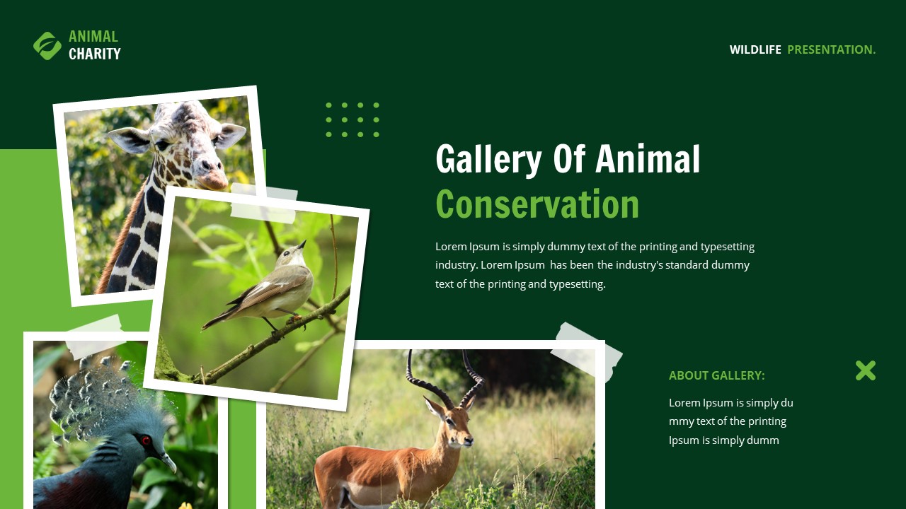 Animal Conserv Google Slide Template, Presentation Templates | GraphicRiver