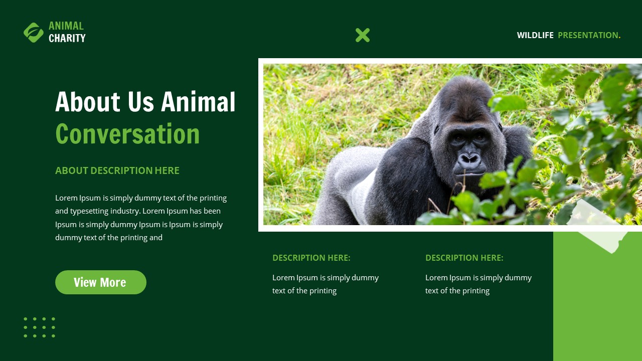 Animal Conserv Google Slide Template, Presentation Templates | GraphicRiver