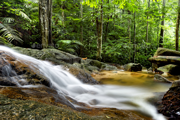 Long exposure cascading flowing water in the jungle Stock Photo by ...