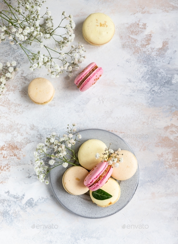 French assorted macarons pastel colors with gypsophila flowers on light ...
