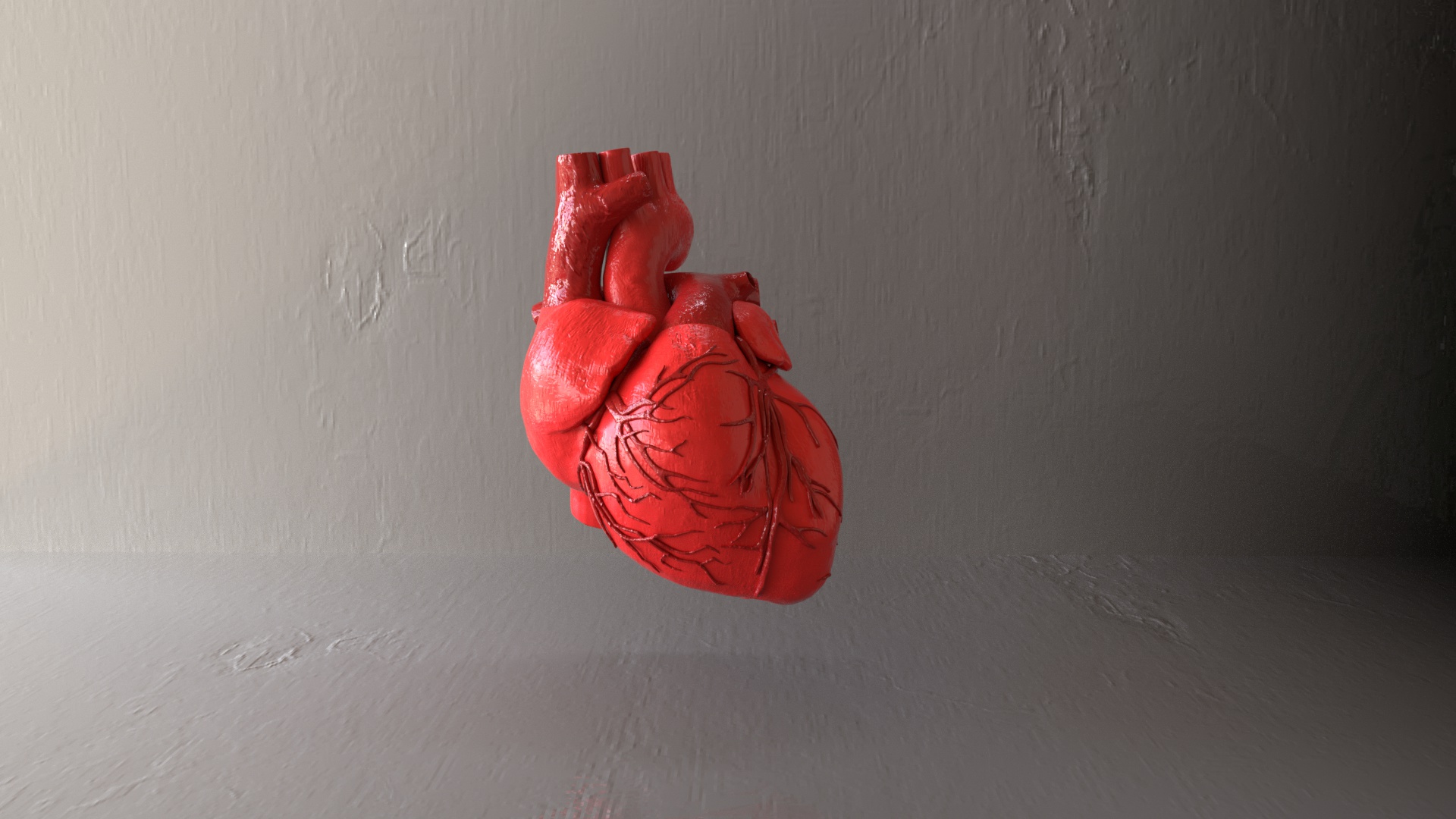 Realistic Human Heart 3D Model Heart by mavigol | 3DOcean
