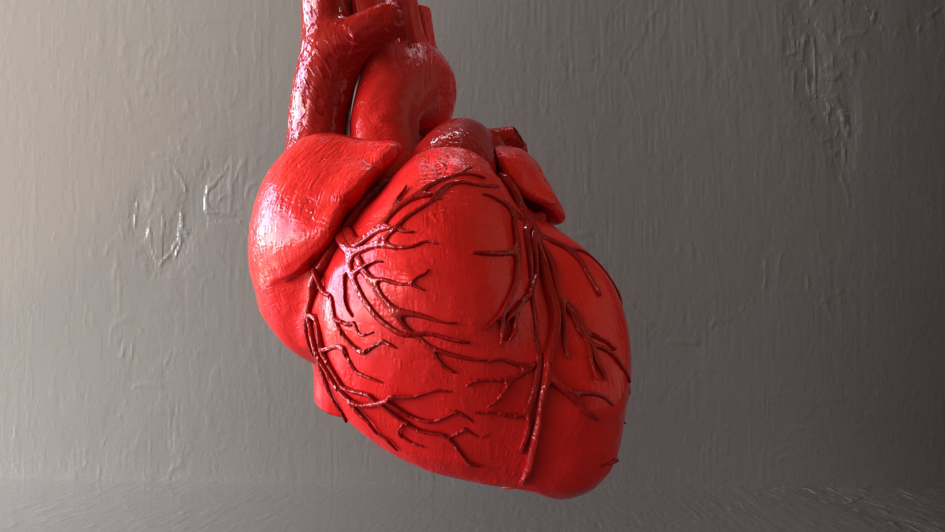 Realistic Human Heart 3D Model Heart by mavigol | 3DOcean