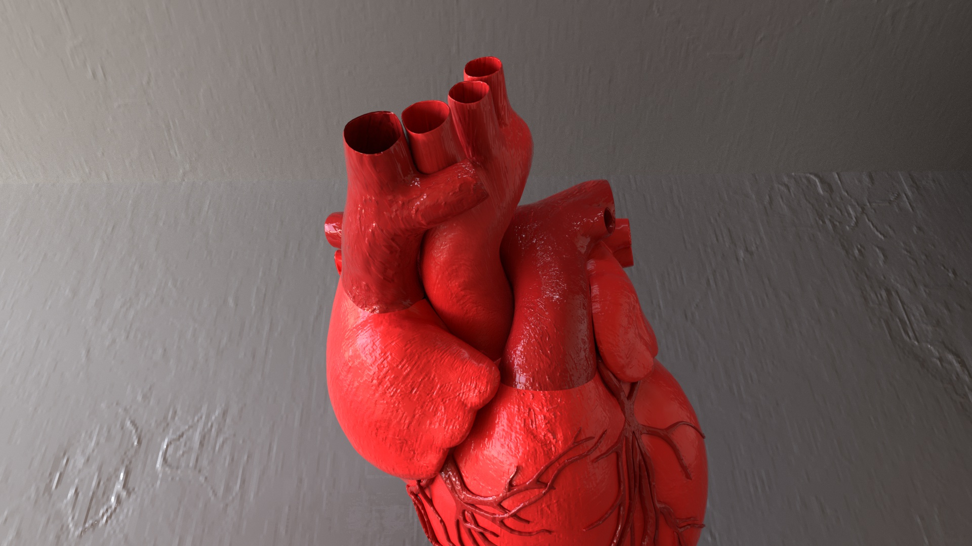 Realistic Human Heart 3D Model Heart by mavigol | 3DOcean