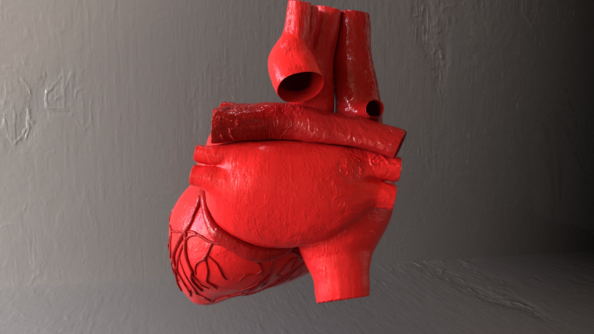 Realistic Human Heart 3D Model Heart by mavigol | 3DOcean