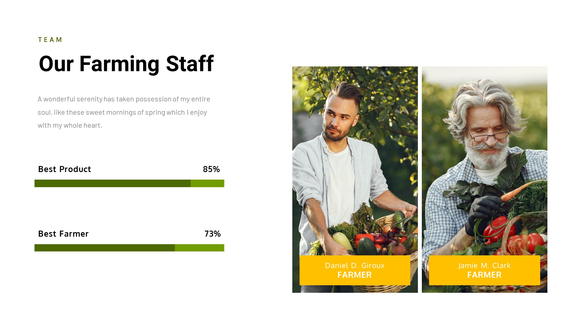 FARMMERA – Organic Farm Agriculture Powerpoint Template, Presentation ...