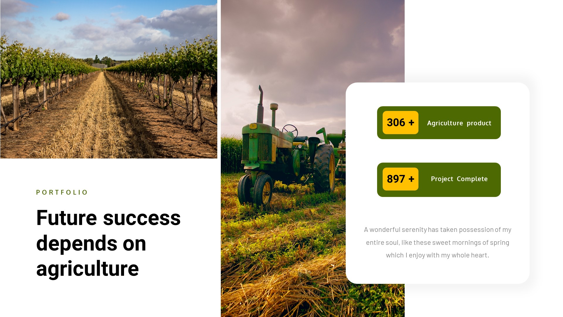 FARMMERA – Organic Farm Agriculture Powerpoint Template, Presentation ...