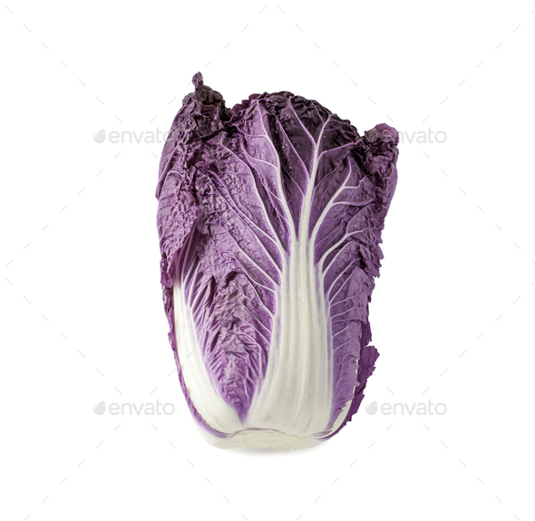 Purple Napa Cabbage Stock Photo by EvergreenPlanet | PhotoDune