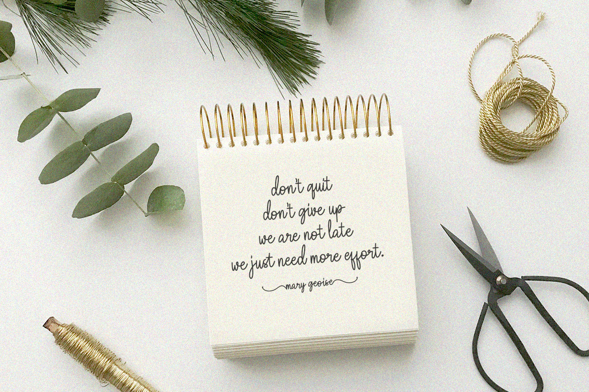 Mary Geoise Font, Fonts | GraphicRiver