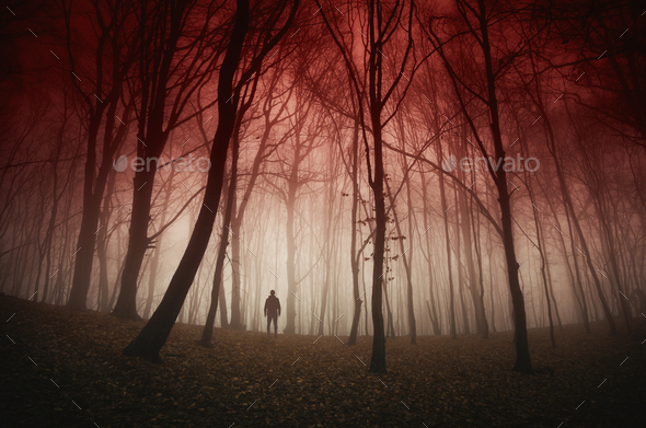 man in dark forest, horror landscape Stock Photo by andreiuc88 | PhotoDune