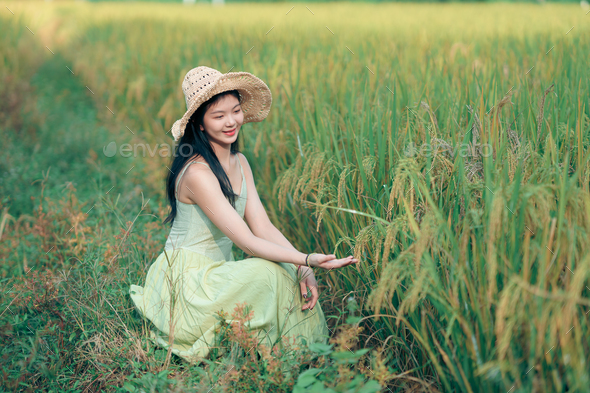 girl walking on rice fields Stock Photo by liufuyu | PhotoDune