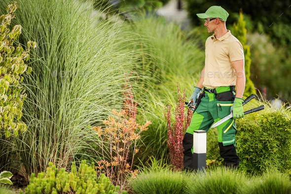 Professional Gardener Inside a Mature Residential Back Yard Garden ...