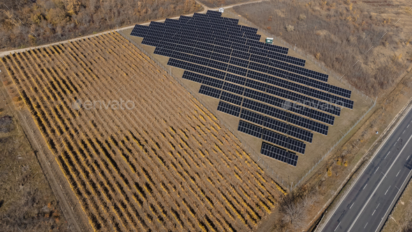 Close up view a vineyard using solar panels to power the winery. Stock ...