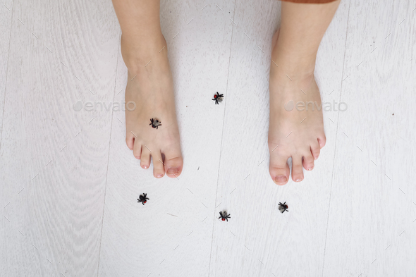 child legs with little plastic spiders. Happy little kid playing animal ...
