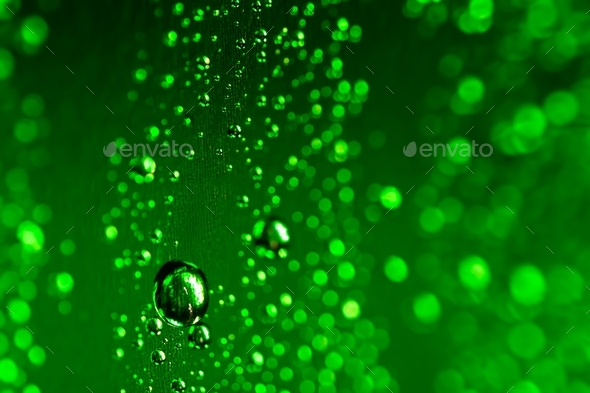 Abstract green raindrop background with beautiful bokeh. Many shades of ...