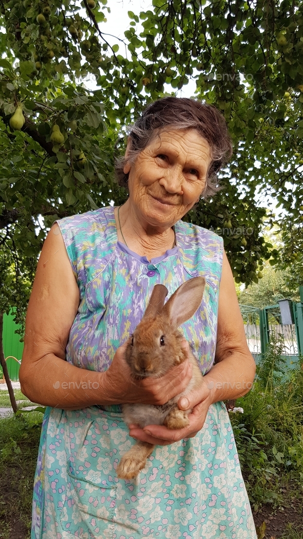 My lovely granny with pet rabbit in farmhouse garden Stock Photo by ninelro