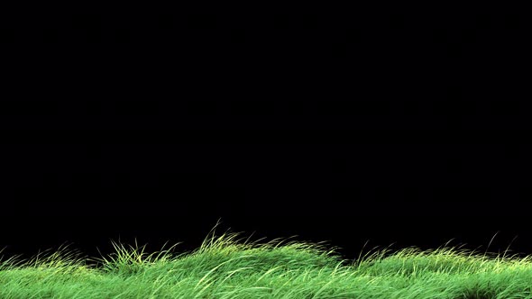 Waving Grass Slow Loop, Motion Graphics | VideoHive