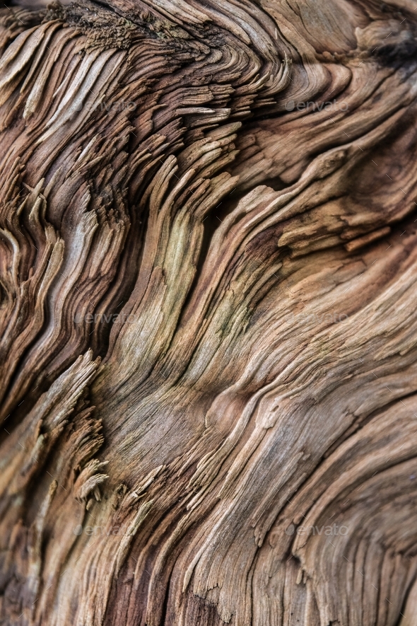 Wooden natural wood texture background. Waves and patterns of old dry ...