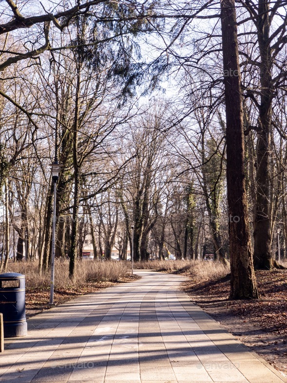 Pathway Stock Photo by olkakonecka | PhotoDune