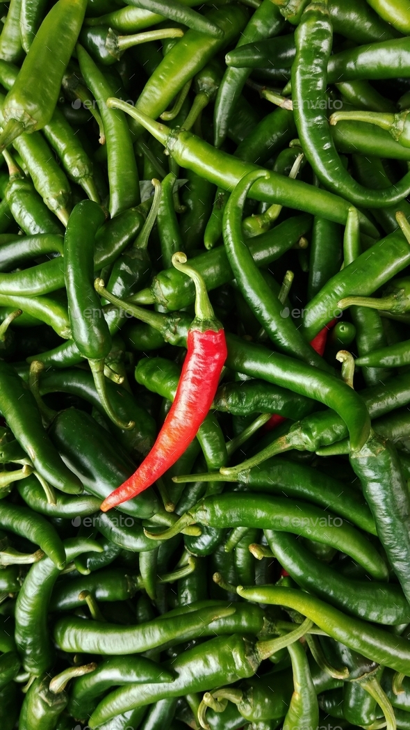 Single Red Chilli Over Green Chillies Stock Photo by iportret | PhotoDune