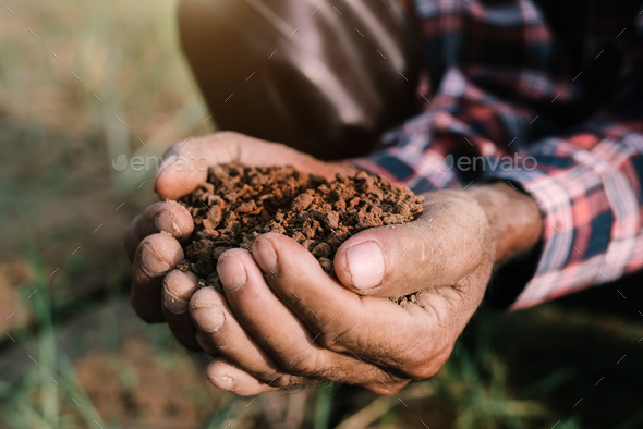 Farmers' expert hands check soil health before planting vegetable seeds ...