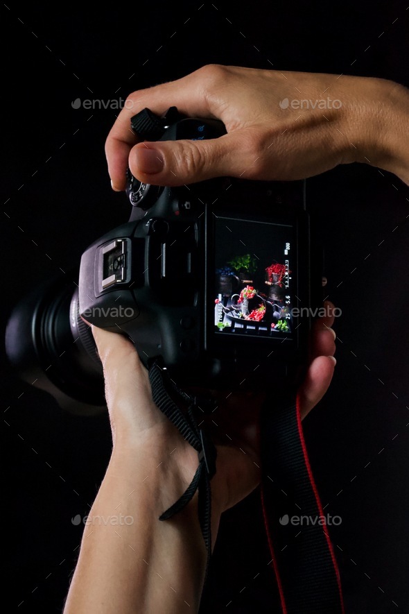 Snapping photos two hands hold the camera taking a picture of berries ...