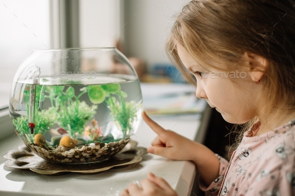 The girl examines a round aquarium with fish, gently touching with her ...