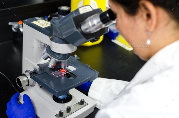 Examination of blood smear under microscope by a lady doctor Stock ...