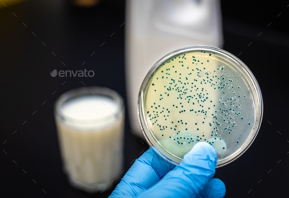 Milk contamination with bacteria Stock Photo by manjurulhaque | PhotoDune