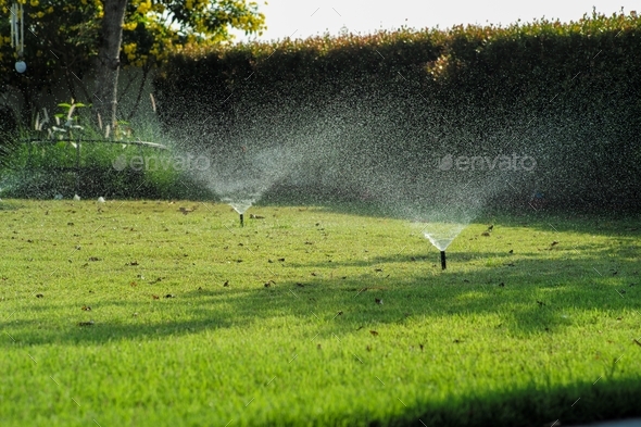Selective focus on the sprinkle watering around the grass field with ...