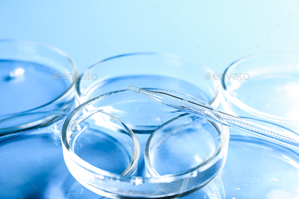 abstract laboratory medical background. petri dishes, test tubes Stock ...