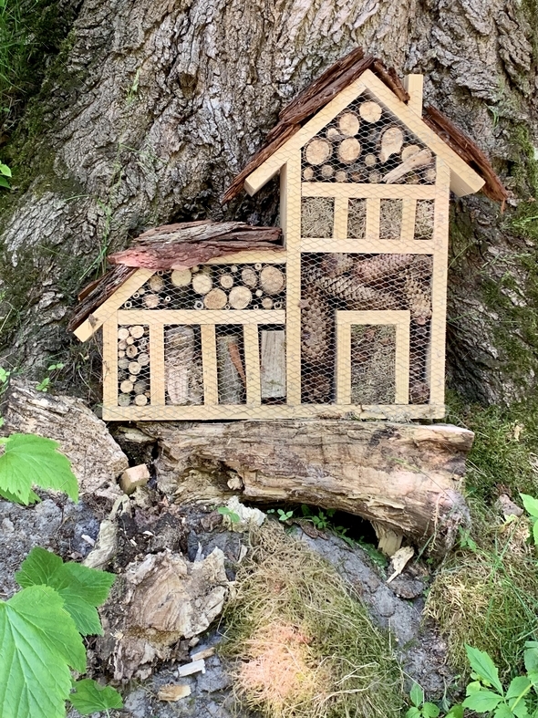 Wooden House For insects , Respect for the environment Stock Photo by ...