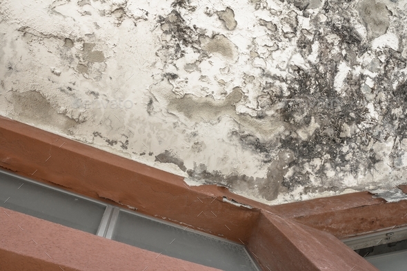 Effects of damp on plaster, damaged wall texture. Stock Photo by KYNASTUDIO