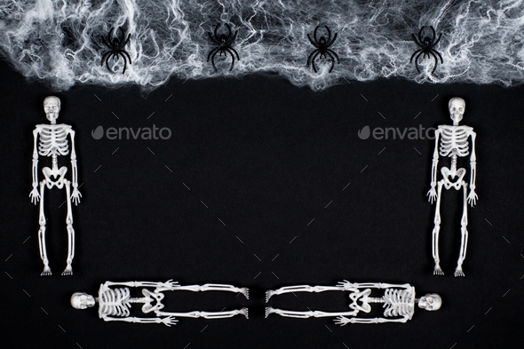 White skeletons spiders, web on a black background. Stock Photo by ...