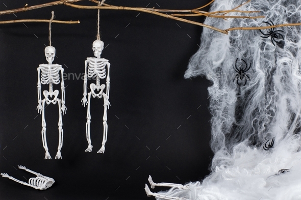 Two skeletons hanging from a branch. Horror background Stock Photo by ...